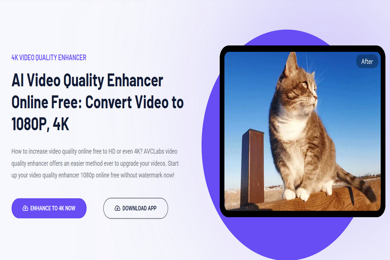 AI Video Quality Enhancer Online Free: Convert Video to 1080P, 4K
