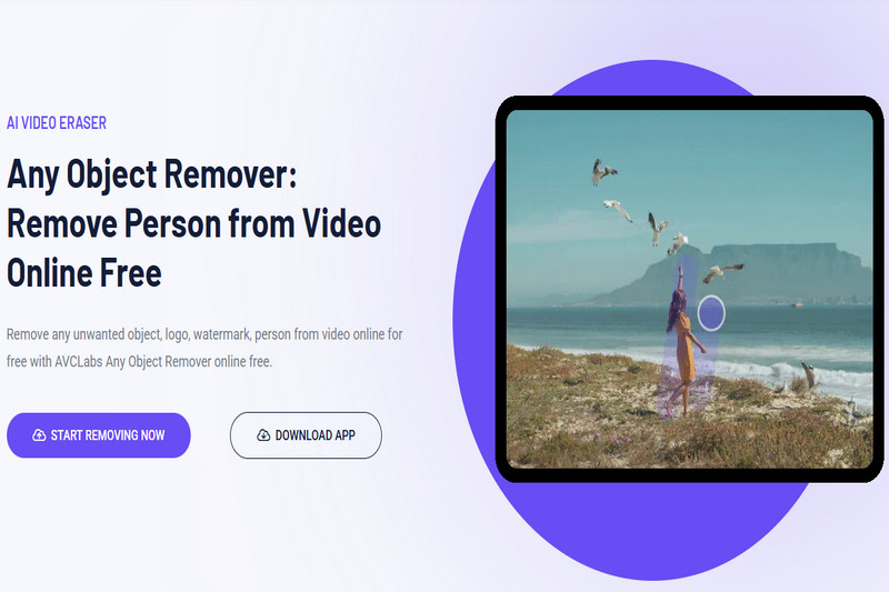 Any Object Remover: Remove Person from Video Online Free
